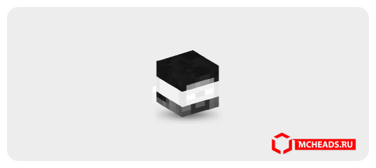 Steve Bust — 97548 — Minecraft head