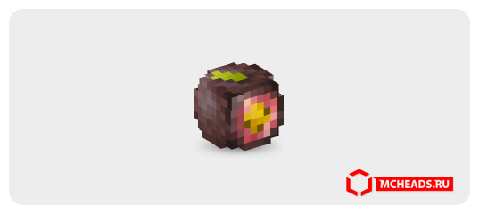 Passionfruit (Sliced) — Minecraft head