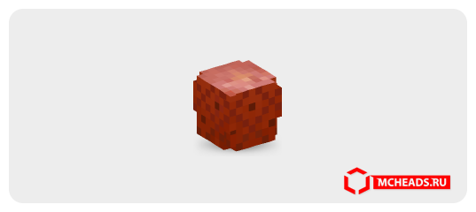 Ham (upside) — Minecraft head