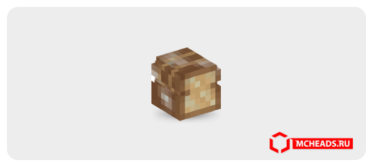Moldy Bread — 11492 — Minecraft head