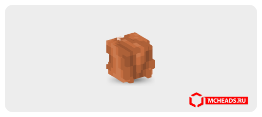 Pecan (without shell) — Minecraft head