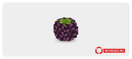 Blackberry — 2194 — Minecraft head