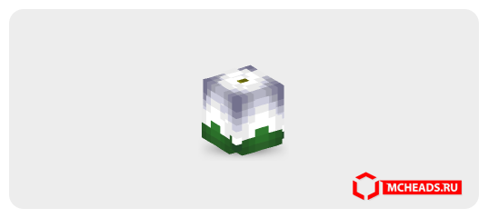 White Flower — Minecraft head