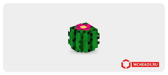 Cactus Flower — 6 — Minecraft head