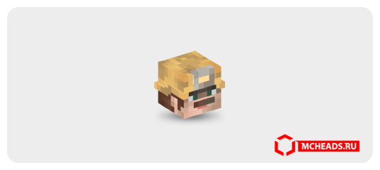 Miner — 54876 — Minecraft head
