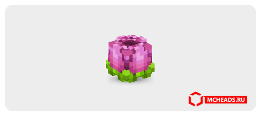 Plantera's Bulb — Minecraft head