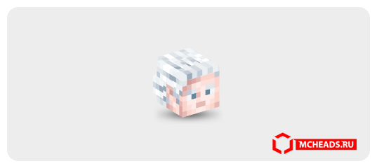 Judge — Minecraft head