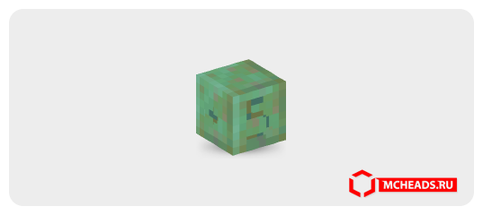 Weathered Copper 500 — Minecraft head