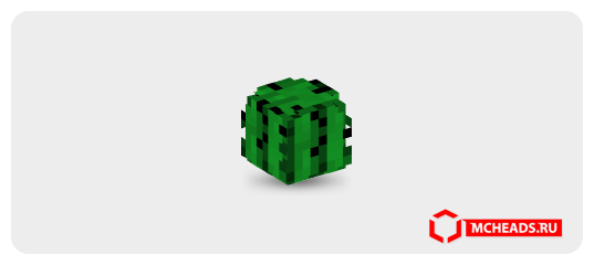 Cactus — 5 — Minecraft head