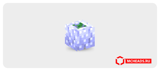 Berry — 32398 — Minecraft head