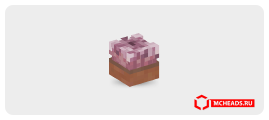 Potted Succulents — Minecraft head