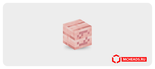 Cherry Plank Cancer — Minecraft head