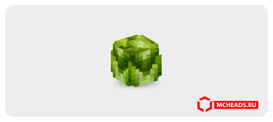 Lettuce — 2228 — Minecraft head