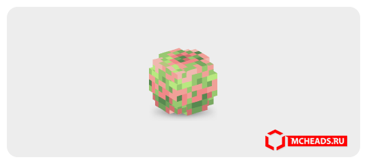 Watmel Berry — Minecraft head