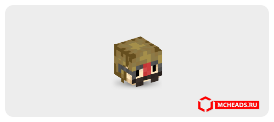 Disguised Grian — Minecraft head