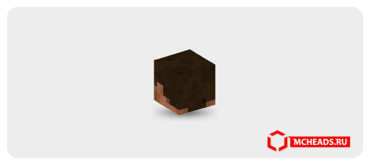 Backwards Steve — 78309 — Minecraft head