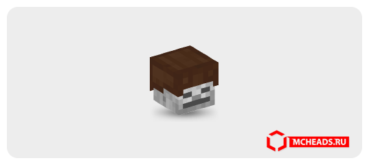 Skeleton with Leather Helmet (brown) — Minecraft head
