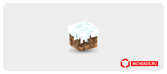 Snowy Grass — Minecraft head