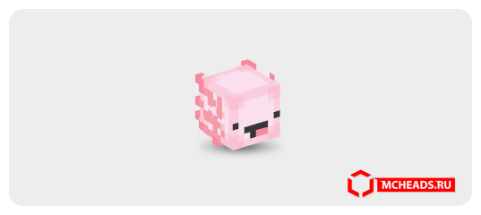 Derp Axolotl — Minecraft head