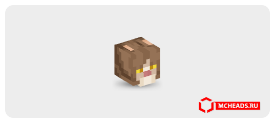 Cat (tabby) — Minecraft head
