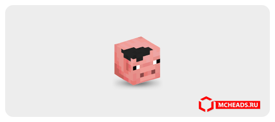 Minecraft Pig Face Png