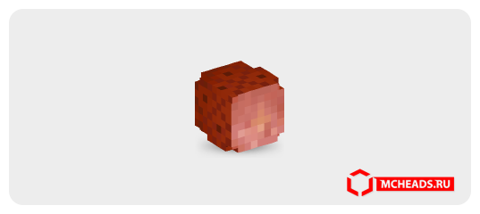 Ham — 60 — Minecraft head