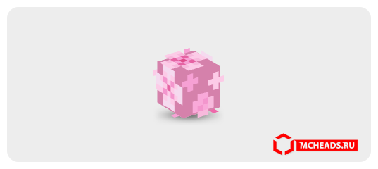 Pink Petals — Minecraft head