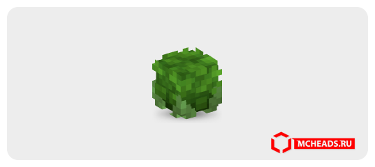 Broccoli — Minecraft head