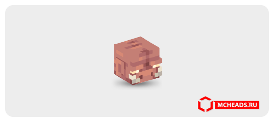 Hog — Minecraft head