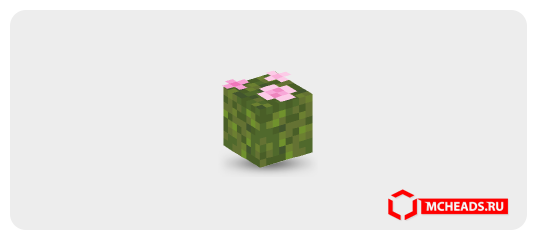 Petals on Moss — Minecraft head