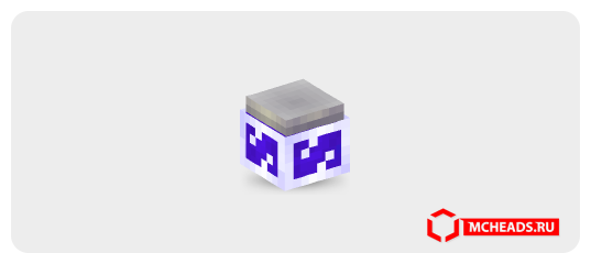 Potion (purple) — 4101 — Minecraft head