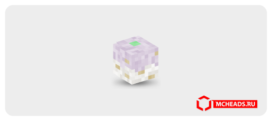 Turnip — 59020 — Minecraft head