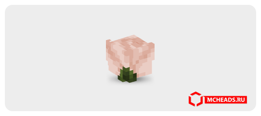 Dusty Peach Rose — Minecraft head