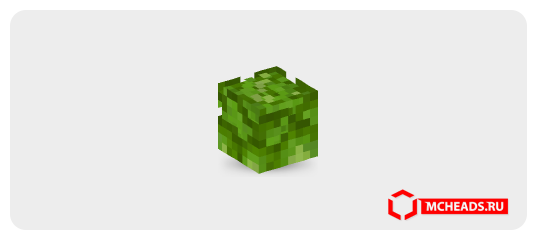 Lettuce — 19 — Minecraft head