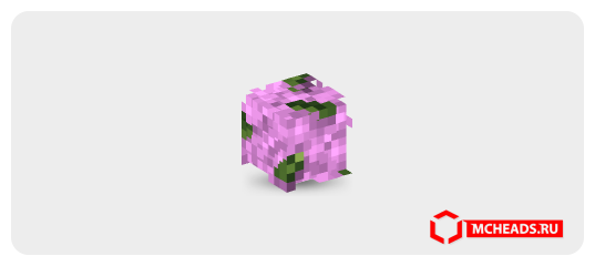 Grapes — 32389 — Minecraft head