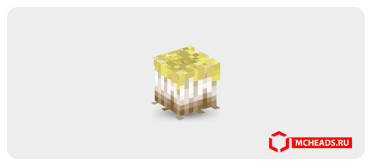 Mung Bean Sprout — Minecraft head