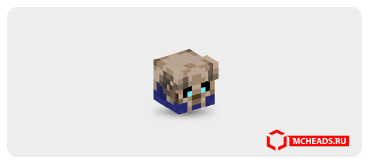 Skull — 90845 — Minecraft head