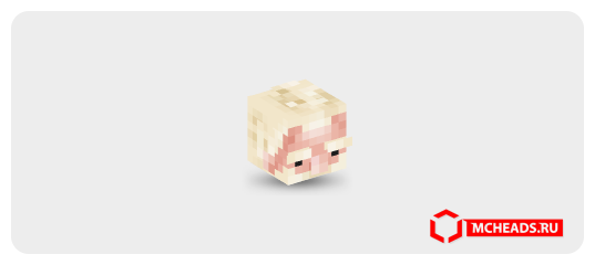 Balin — 14775 — Minecraft head