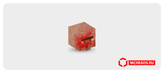 Bloody Villager — 67776 — Minecraft head