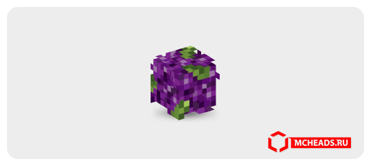 Grapes — 3078 — Minecraft head