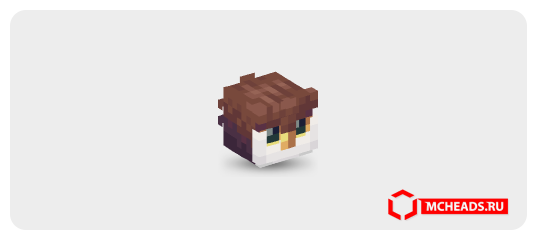Owl (Head) — Minecraft head