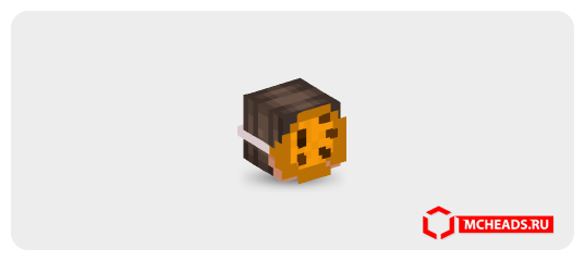 Man with Cookie Mask — Minecraft head