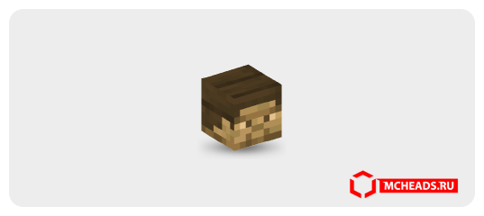 Oak Wood Steve — Minecraft head