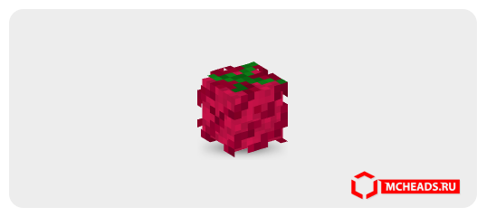 Amaranth — Minecraft head