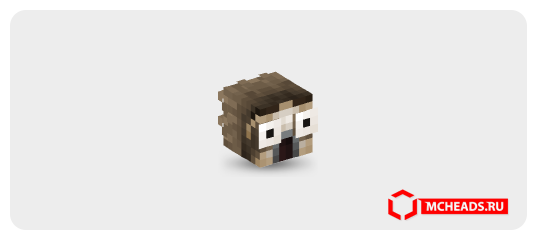Sloth (Shocked) — Minecraft head