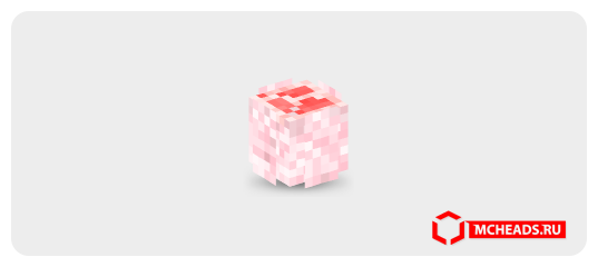 Meat — Minecraft head