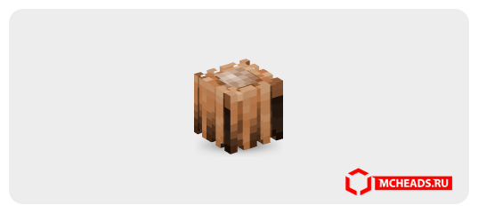 Petrified Wood — Minecraft head