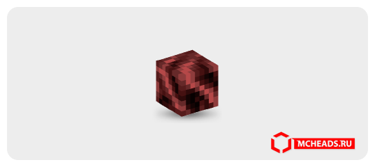 Flesh — 98398 — Minecraft head