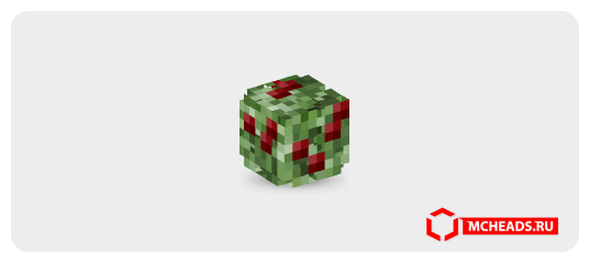 Bush — 2216 — Minecraft head