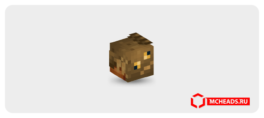 Steaming-Hot Flounder (Bronze) — Minecraft head